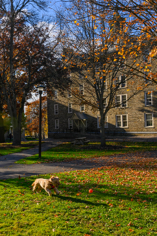 Wallpaper Autumn Mobile | Colgate University