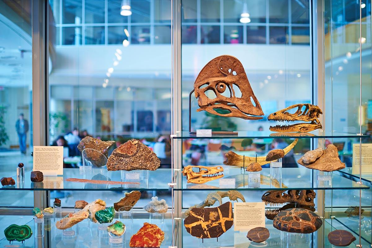 Robert M. Linsley Geology Museum | Colgate University