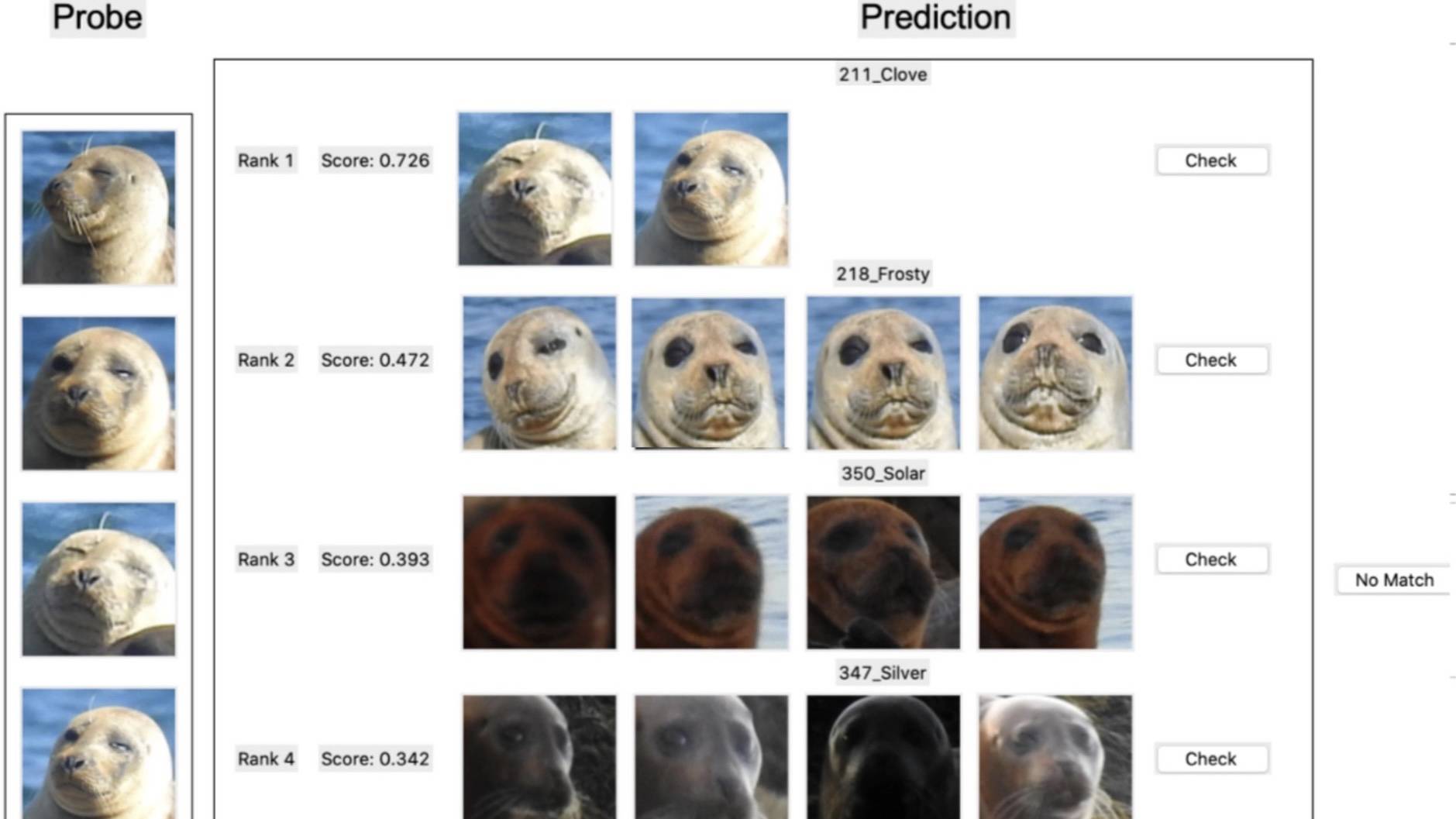 Faculty-Student Research Team Develops Seal Facial-Recognition Software ...