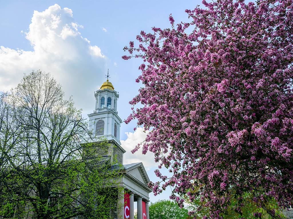 Digital Wallpapers | Colgate University