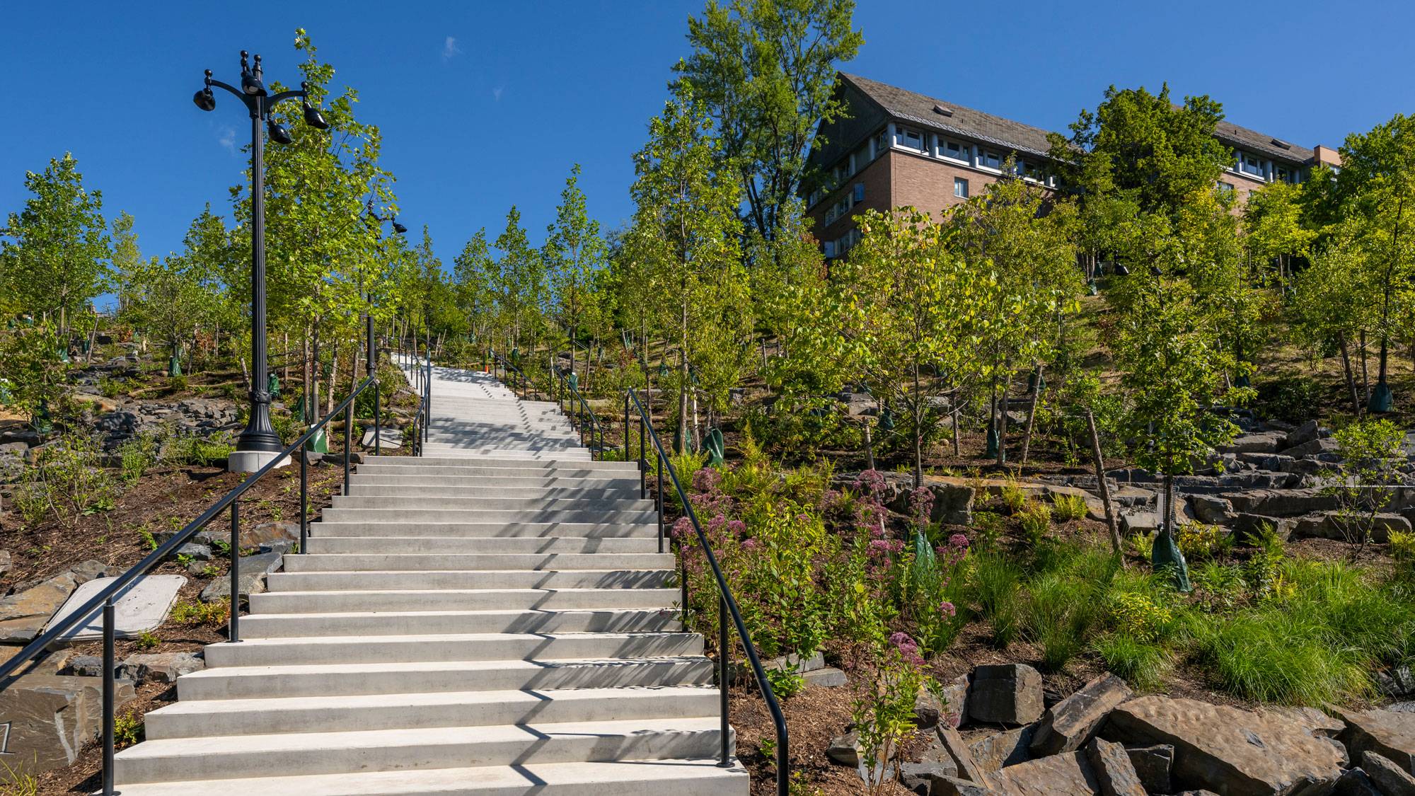 Colgate University Opens Peter’s Glen | Colgate University